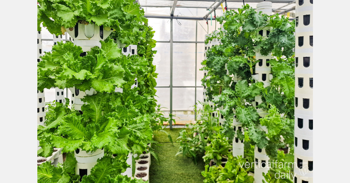 Iowa grower chooses hydroponics over soil to reduce waste
