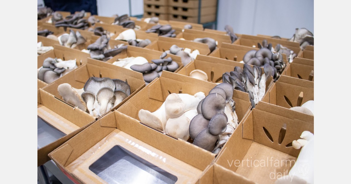 US: Pennsylvania specialty crops sector receives $1M+ in federal funding