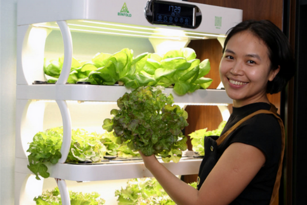 Verticalfarmdaily.com: global indoor farming news