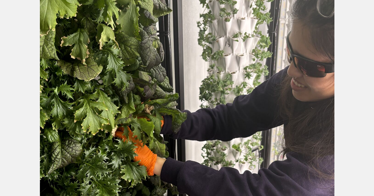 Fresh Harvest Update from Pure Produce