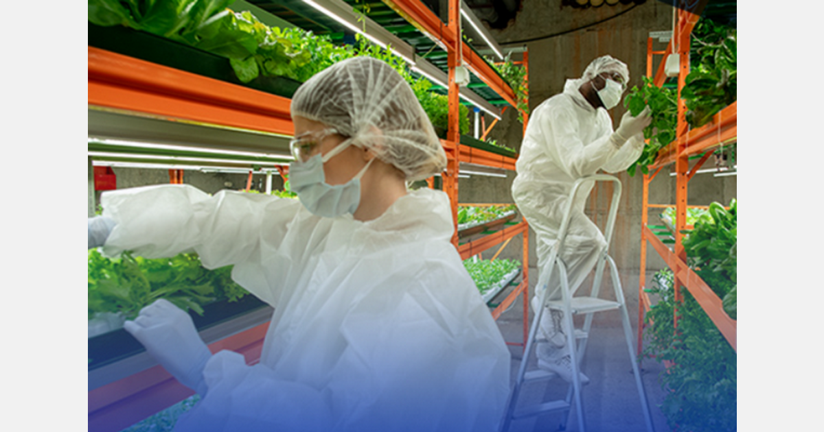 An in depth look at nutrient delivery systems