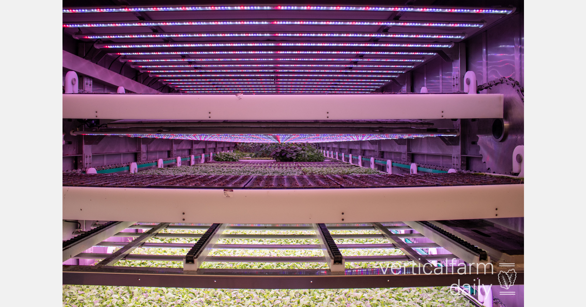 Improving health through quantum farming?