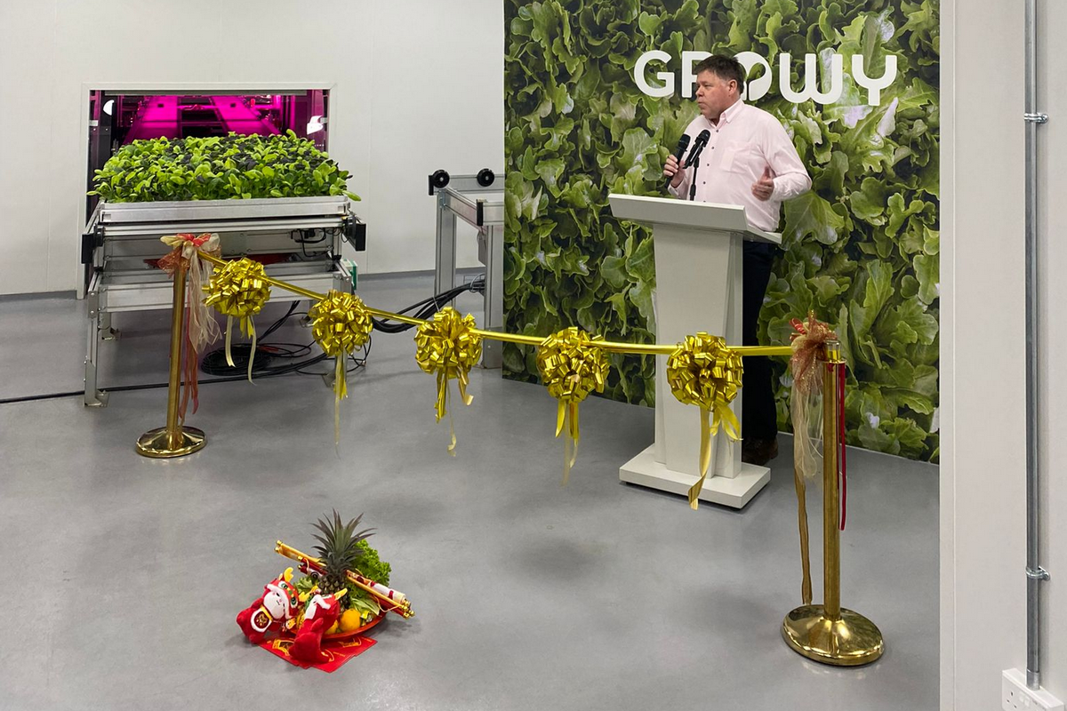 Growy officially opens its Singapore vertical farm