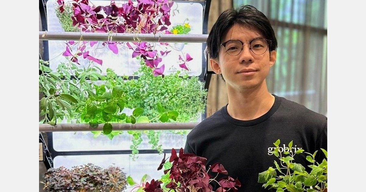 Grobrix hires Joe Yim as Business Developer