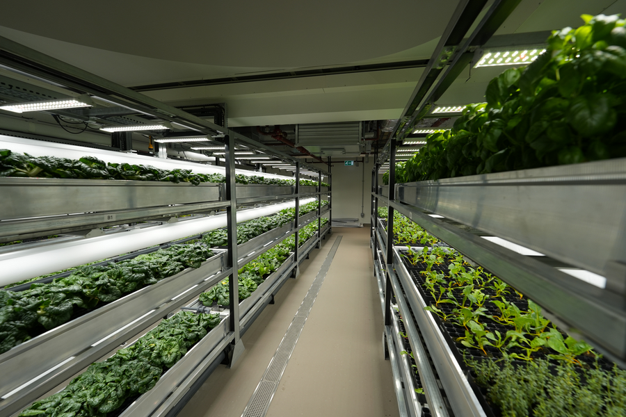 UK: Largest vertical farm within a commercial office building completed