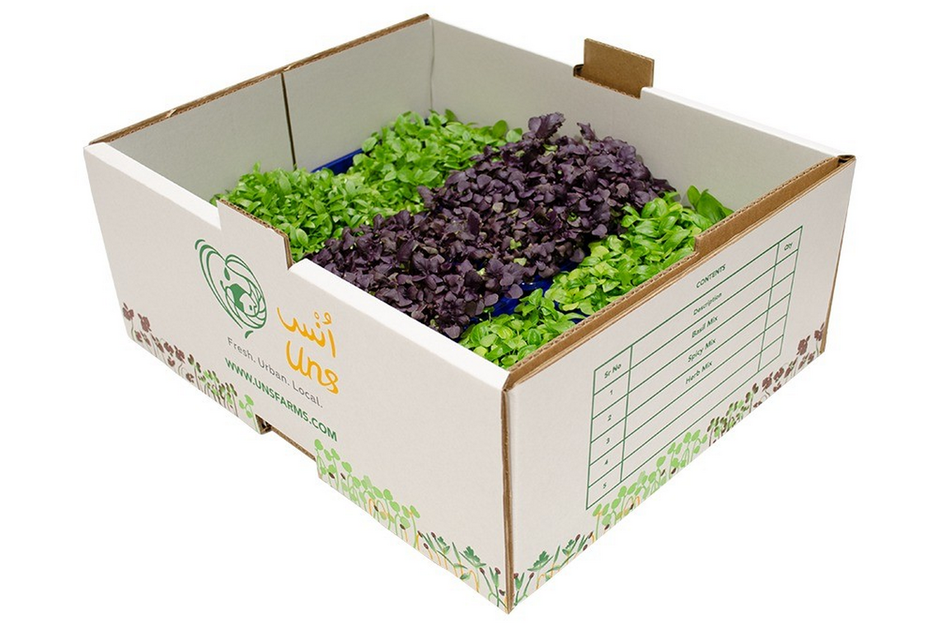 Over 45 new types of microgreens unveiled by UAE grower