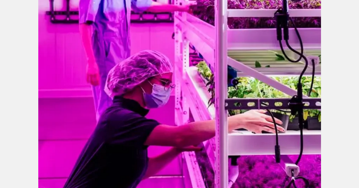 Why vertical farming is essential for the planet