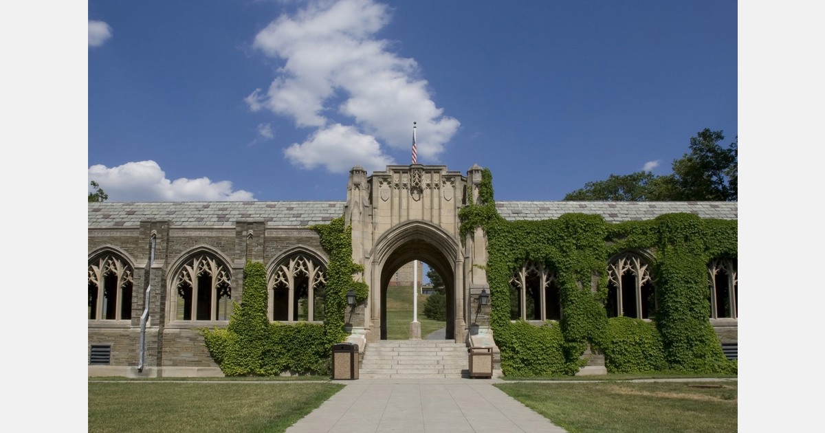 Cornell University to host summit on research in plasma-activated water