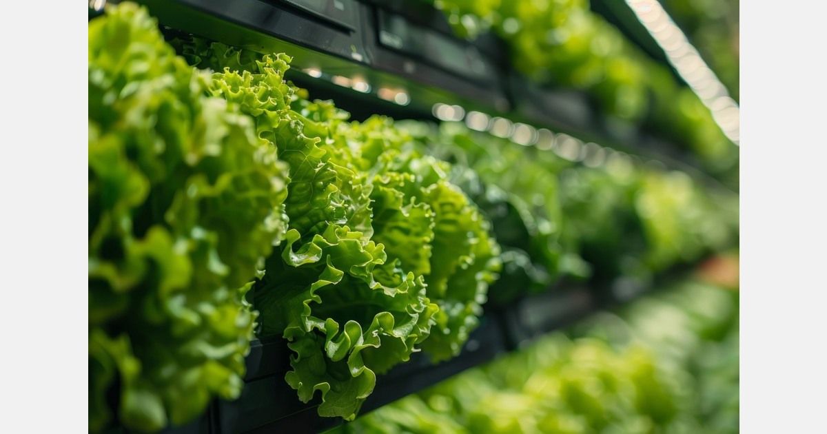 US: Vertical Harvest farm nearly ready for first plants
