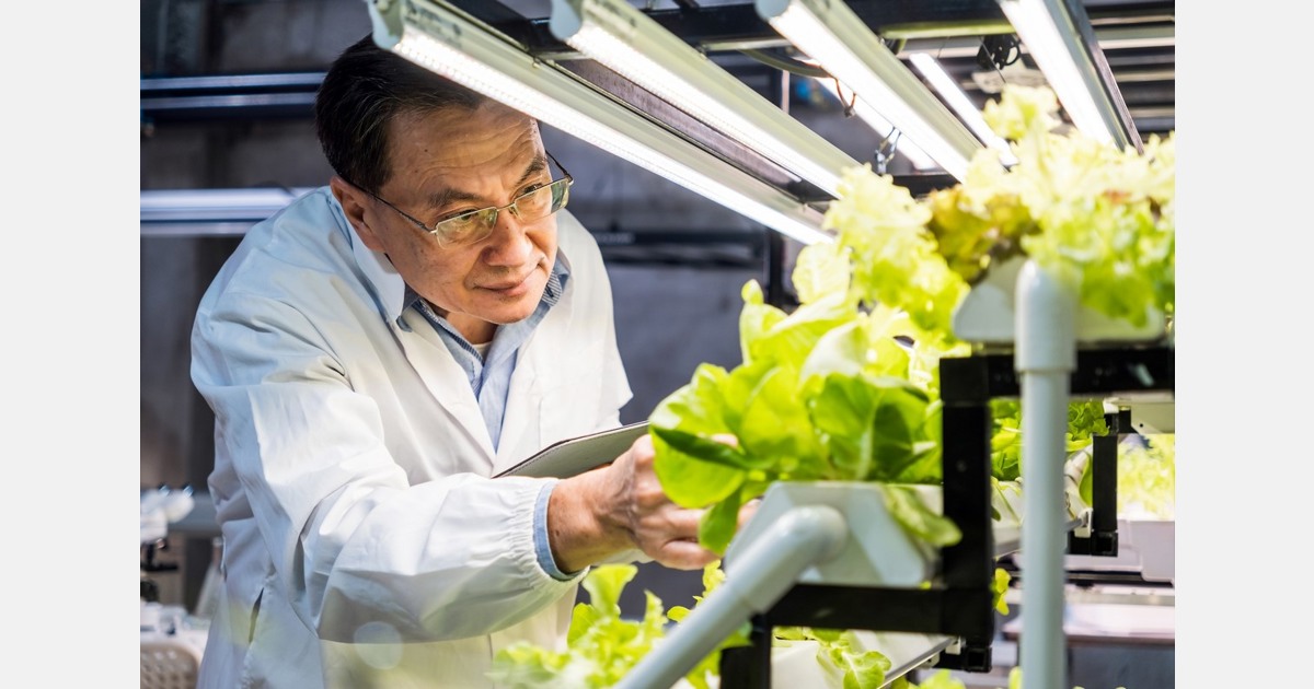 Controlled-environment push grows in the Philippines