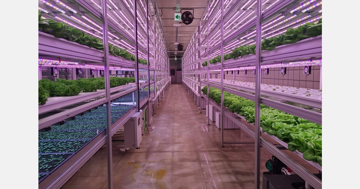 New slimline luminaires deliver space-saving, high-efficiency lighting ...