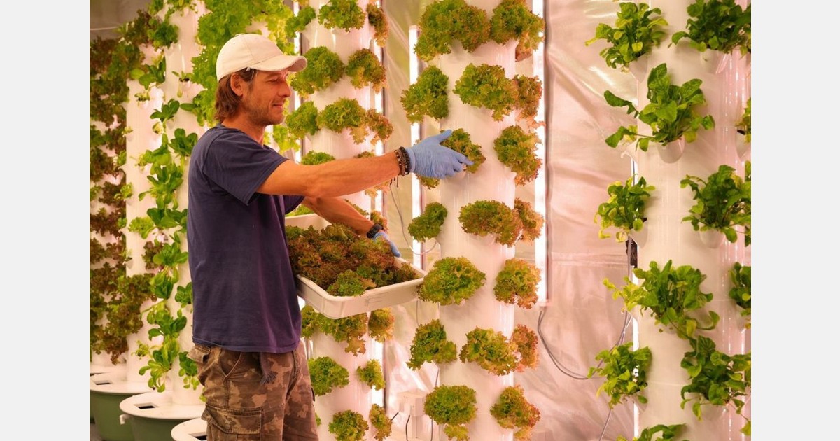 Seedleaves & Micro Acres Wales: "This is about creating a new model of ...