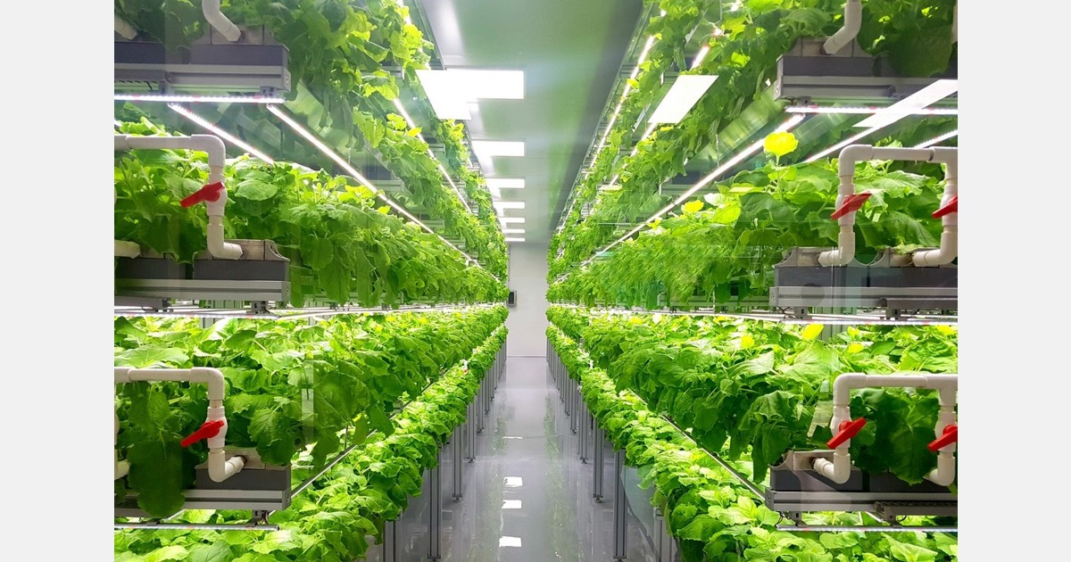 South Korea: Yeongyang County seeks funding for smart farming project