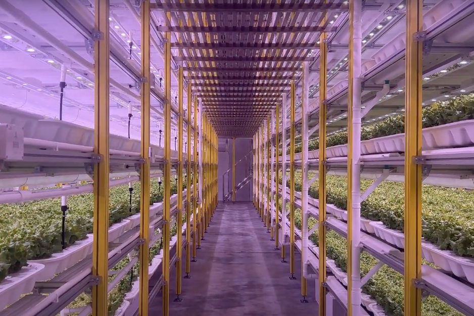 "We’ve designed a system that works across multiple farm formats"