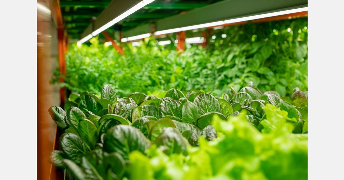 Japan: The tough task of creating urban agriculture that appeals to ...