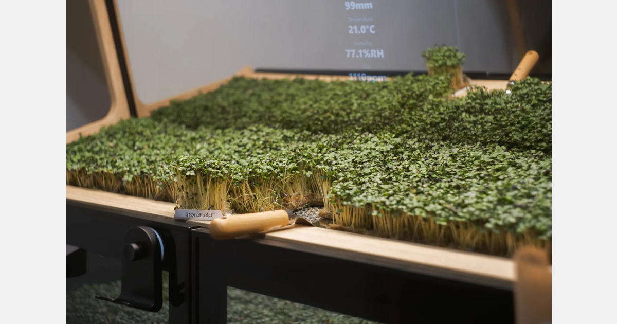 Slovakia: “We wanted to bridge the gap between vertical farming and the ...