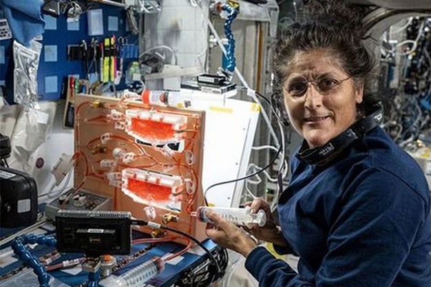 NASA demonstrates passive hydroponics in microgravity aboard the ...