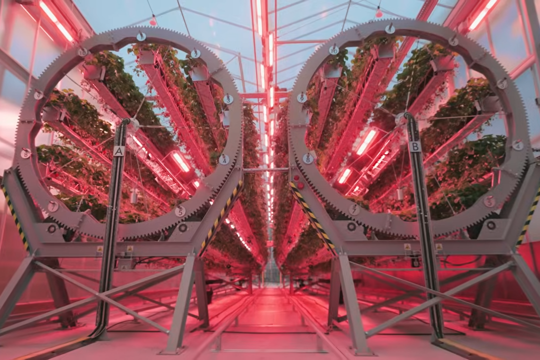 “We get two-and-a-half times uplift in the output of the greenhouses”