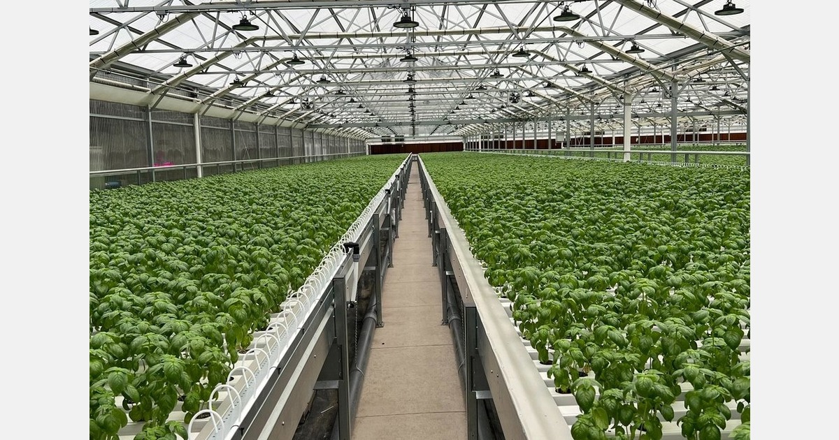 "We've worked with growers long enough to know what slows them down"