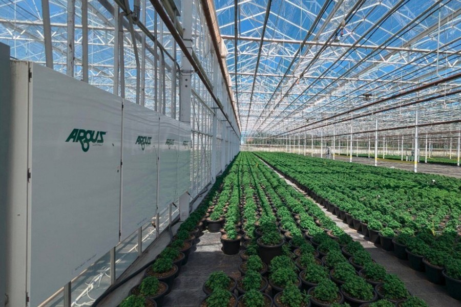 New Argus Axia control system announced