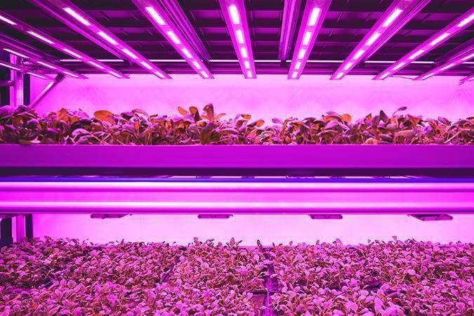 Finland: The challenge of feeding the planet without costing the earth