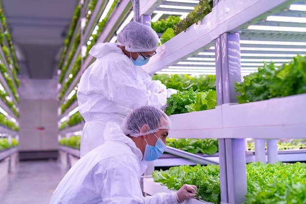"If you pair vertical farming with low-cost renewables, the model is ...
