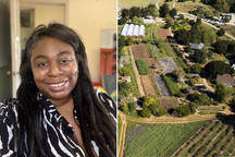 REAP funding remains frozen after release of 20 mln USDA funds