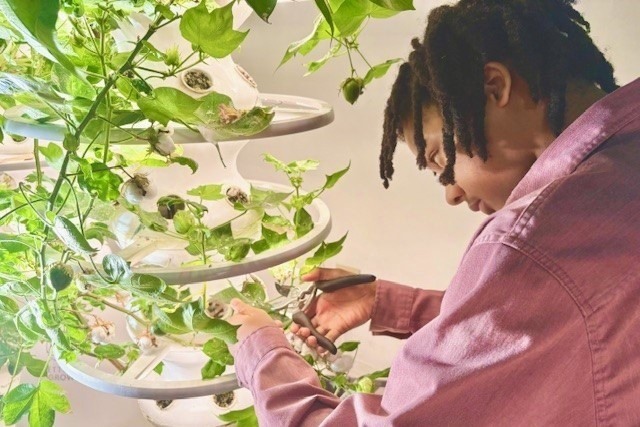 "I wanted to make sure people had access to healthy food"