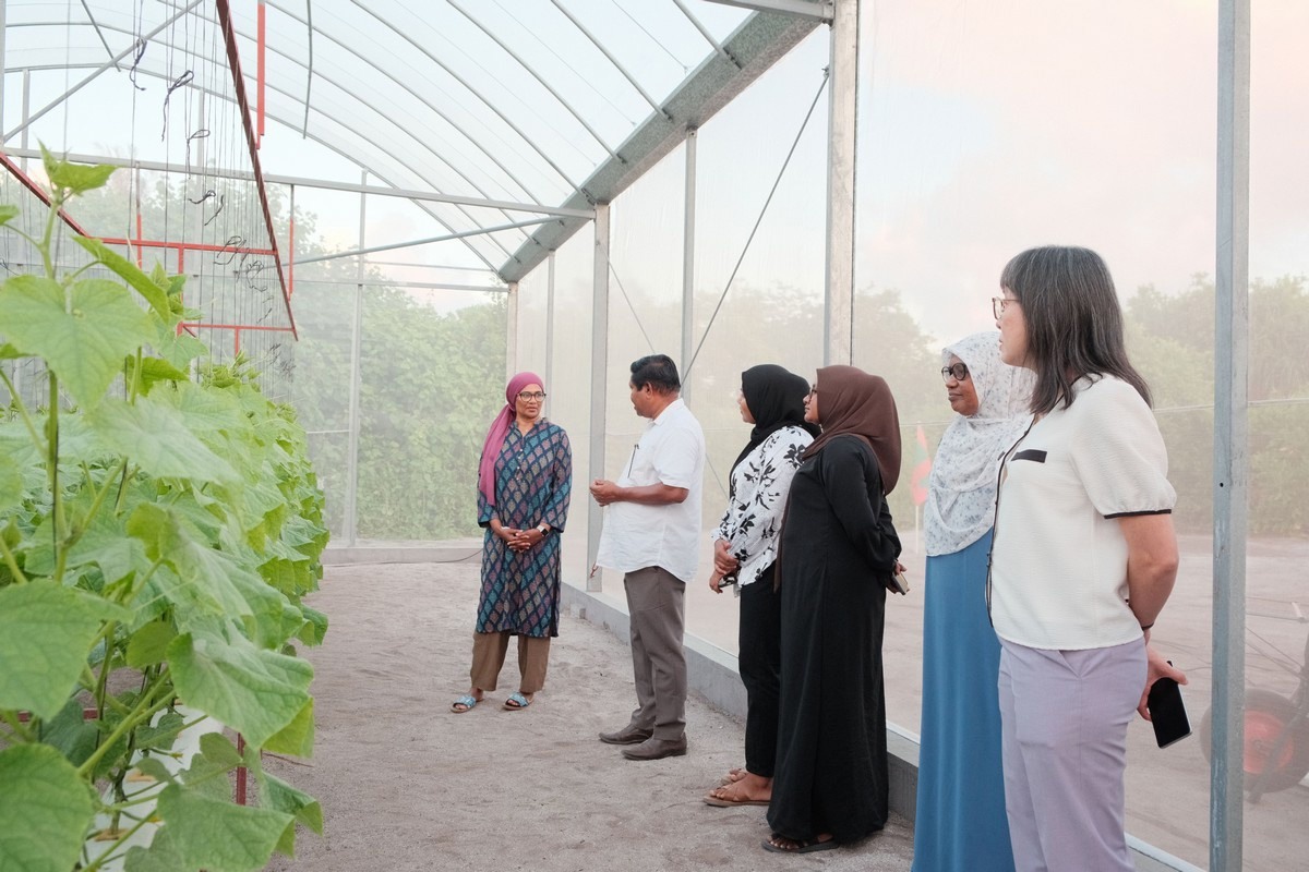 Hydroponic production expands in the Maldives with new solar-powered farm