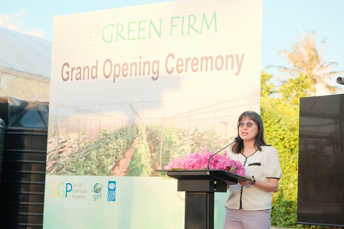 Hydroponic production expands in the Maldives with new solar-powered farm
