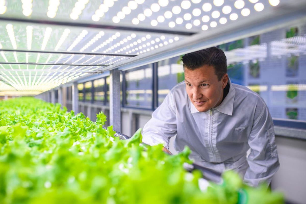 “When you can grow locally, you just have a huge advantage”