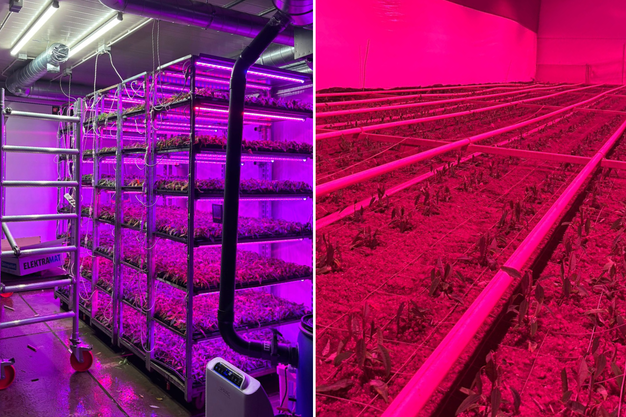 “We ended up at roughly 16 percent of the square-meter cost of a fully ...