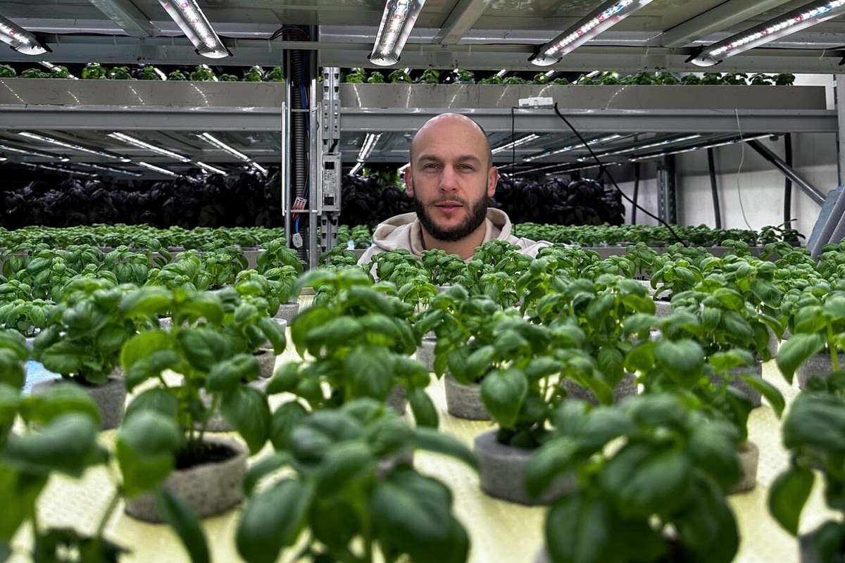 Ukraine: Keeping vertical farms running without electricity
