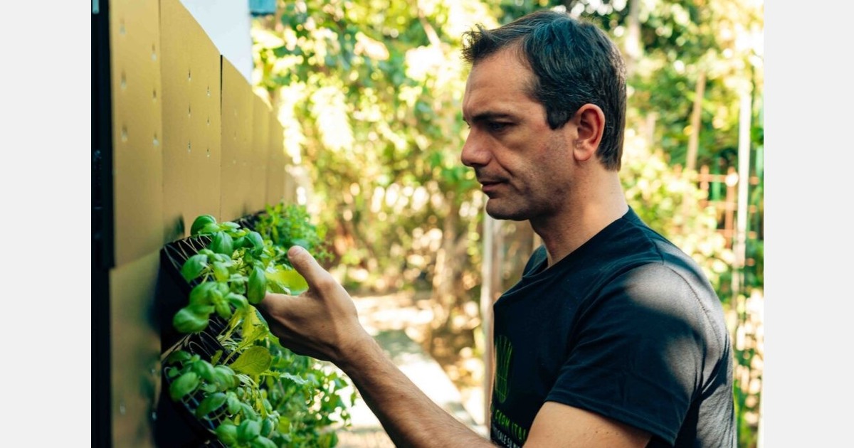 Using vertical growing to reconnect people with nature