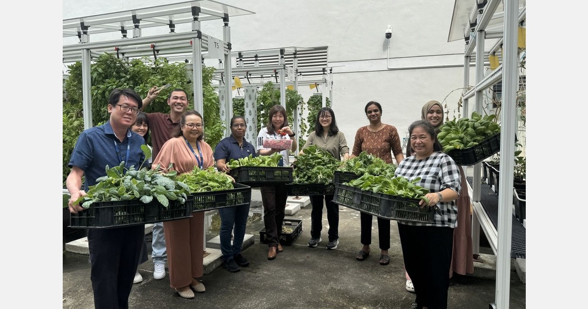 DSV's Sky Garden brings urban farming to Singapore workplace